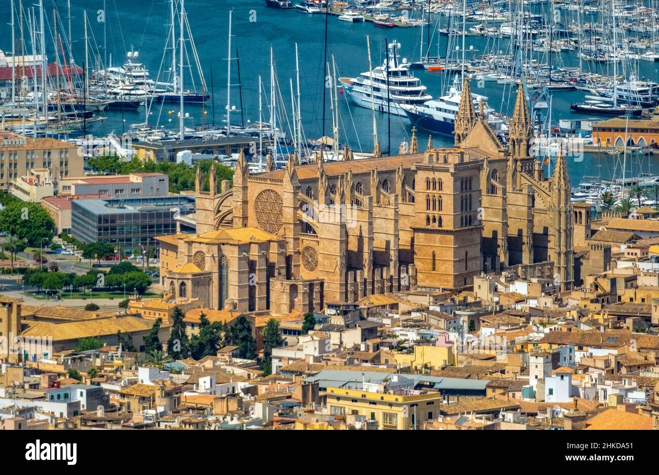 Aerial view, Santa Iglesia Catedral de Mallorca Church, Palma Cathedral ...