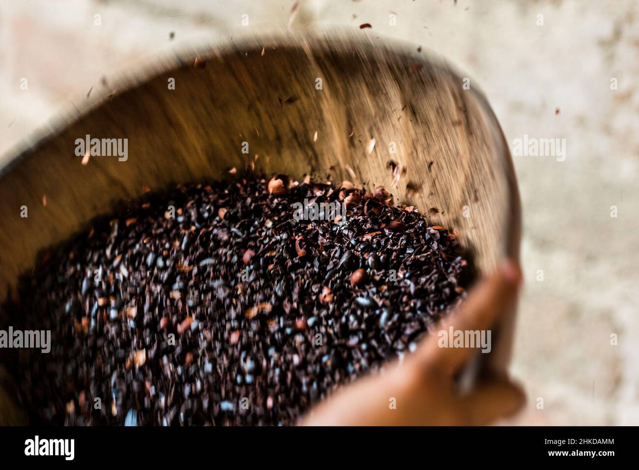An indigenous woman shakes a winnowing bowl, tossing crushed cacao ...