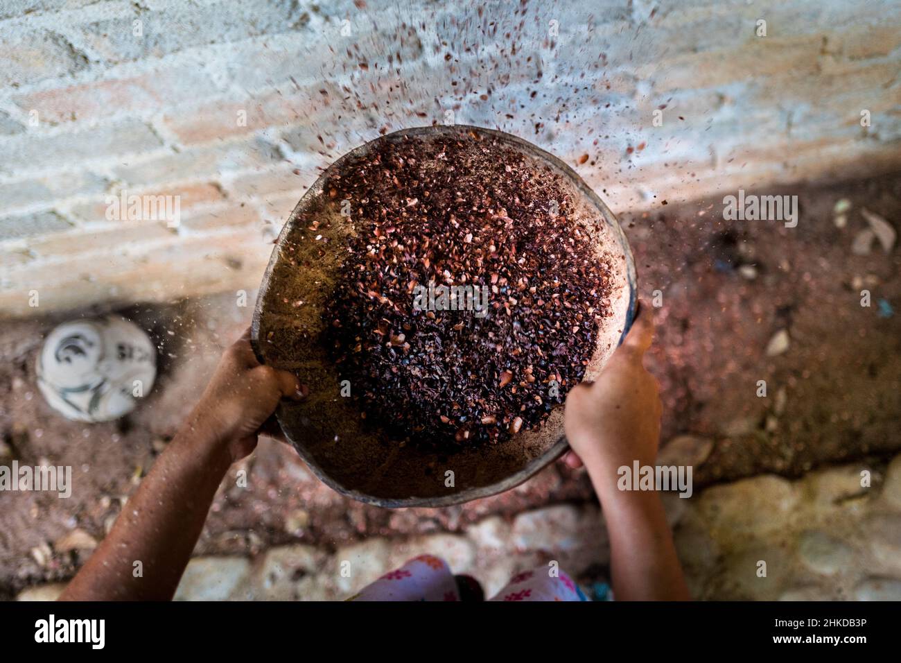 Winnowing cocoa beans hi-res stock photography and images - Alamy