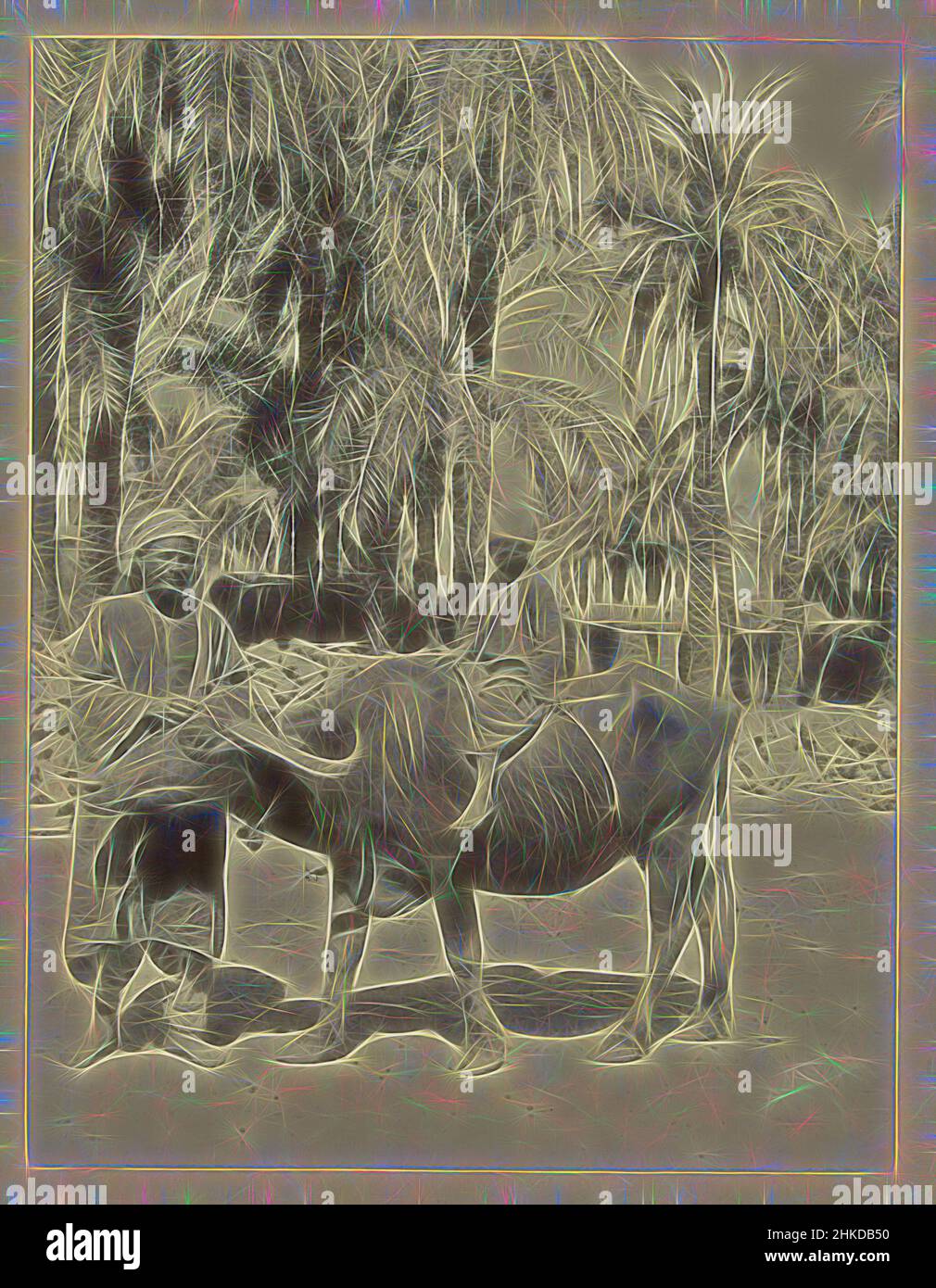 Inspired by A boy on a buffalo.E 103. Egyptian buffalo, The photograph ...