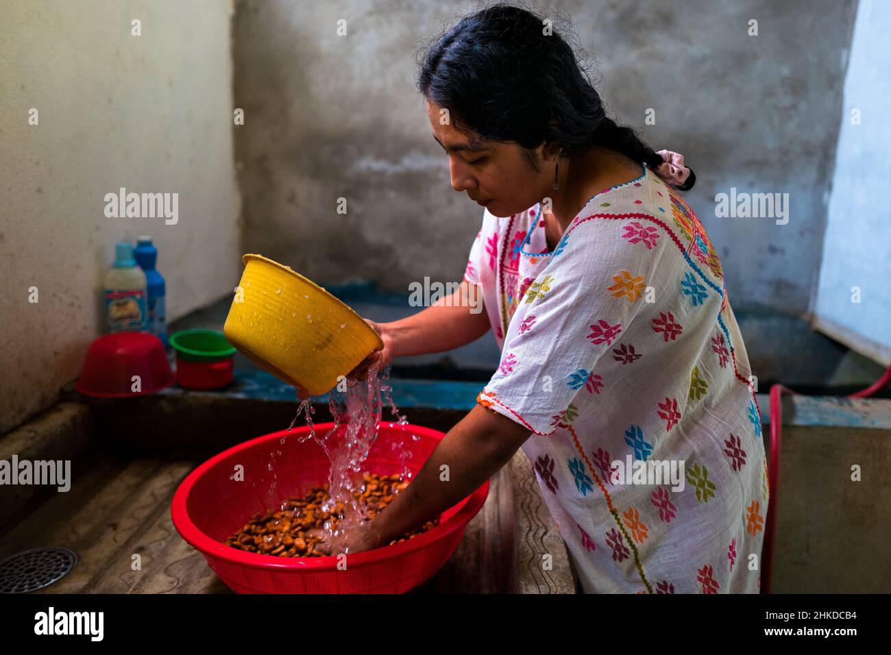An Amuzgo indigenous woman washes dried cacao beans in artisanal ...