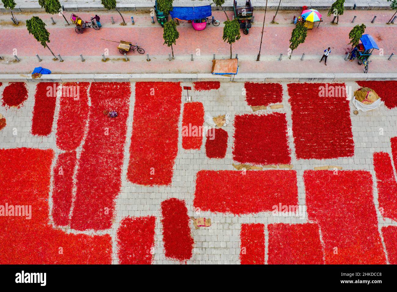 Women workers are sorting red chilli pepper in various farms in ...