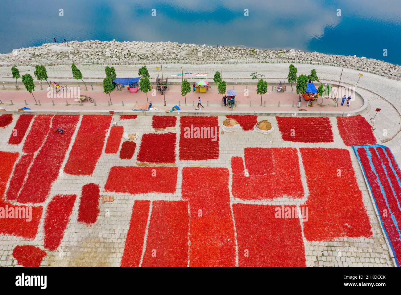 Women workers are sorting red chilli pepper in various farms in ...