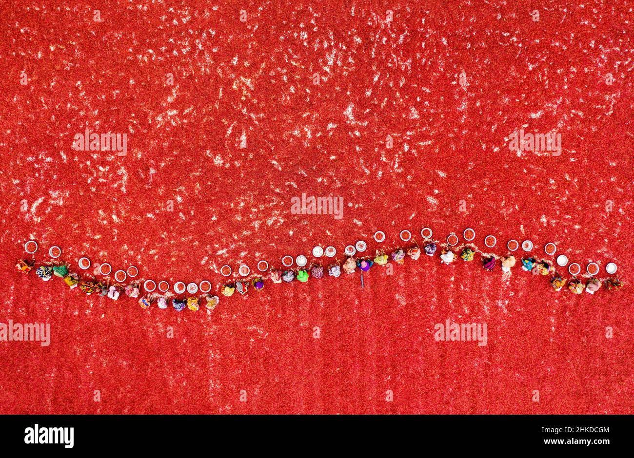 Women workers are sorting red chilli pepper in various farms in ...
