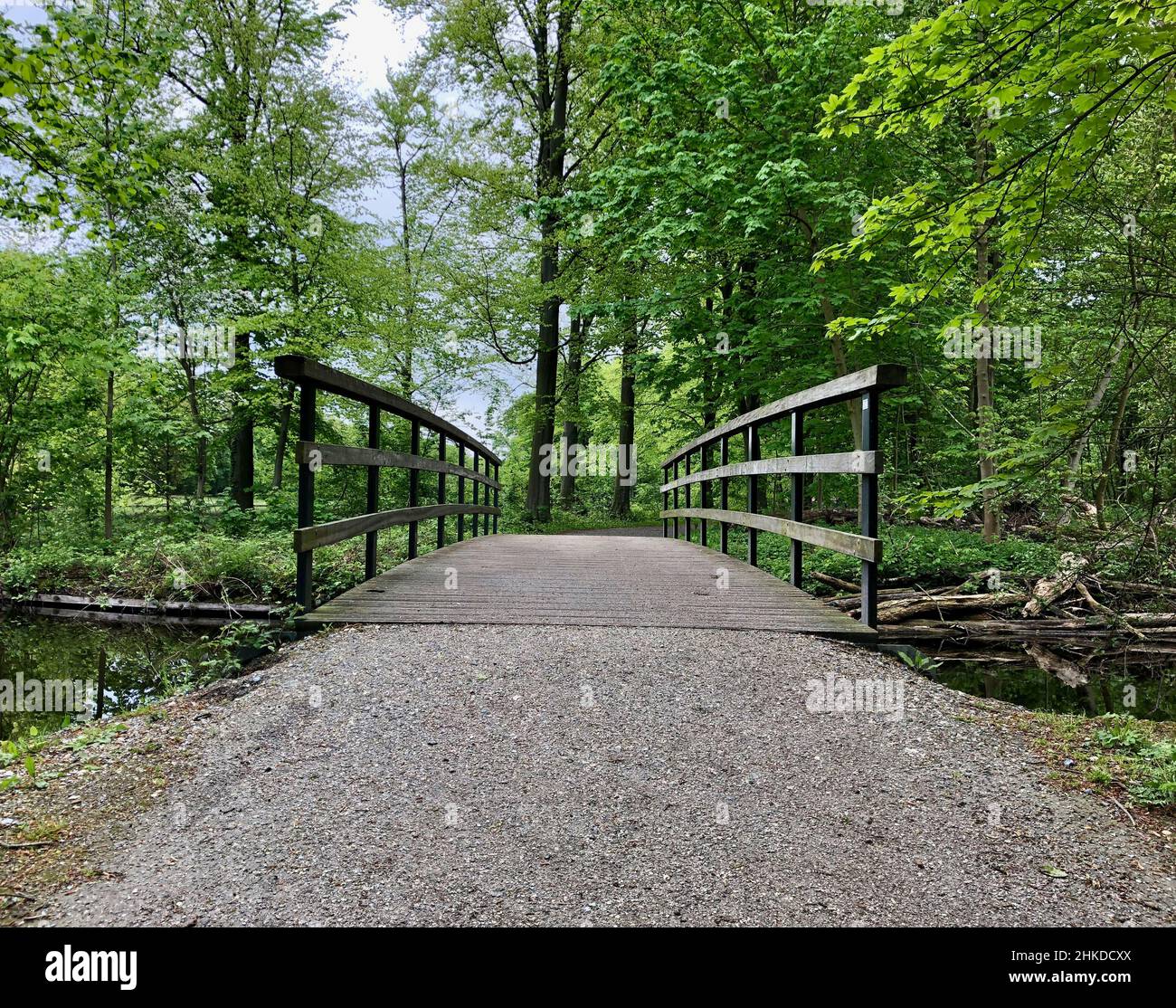 City park view in The Netherlands, nice green scenery Stock Photo - Alamy