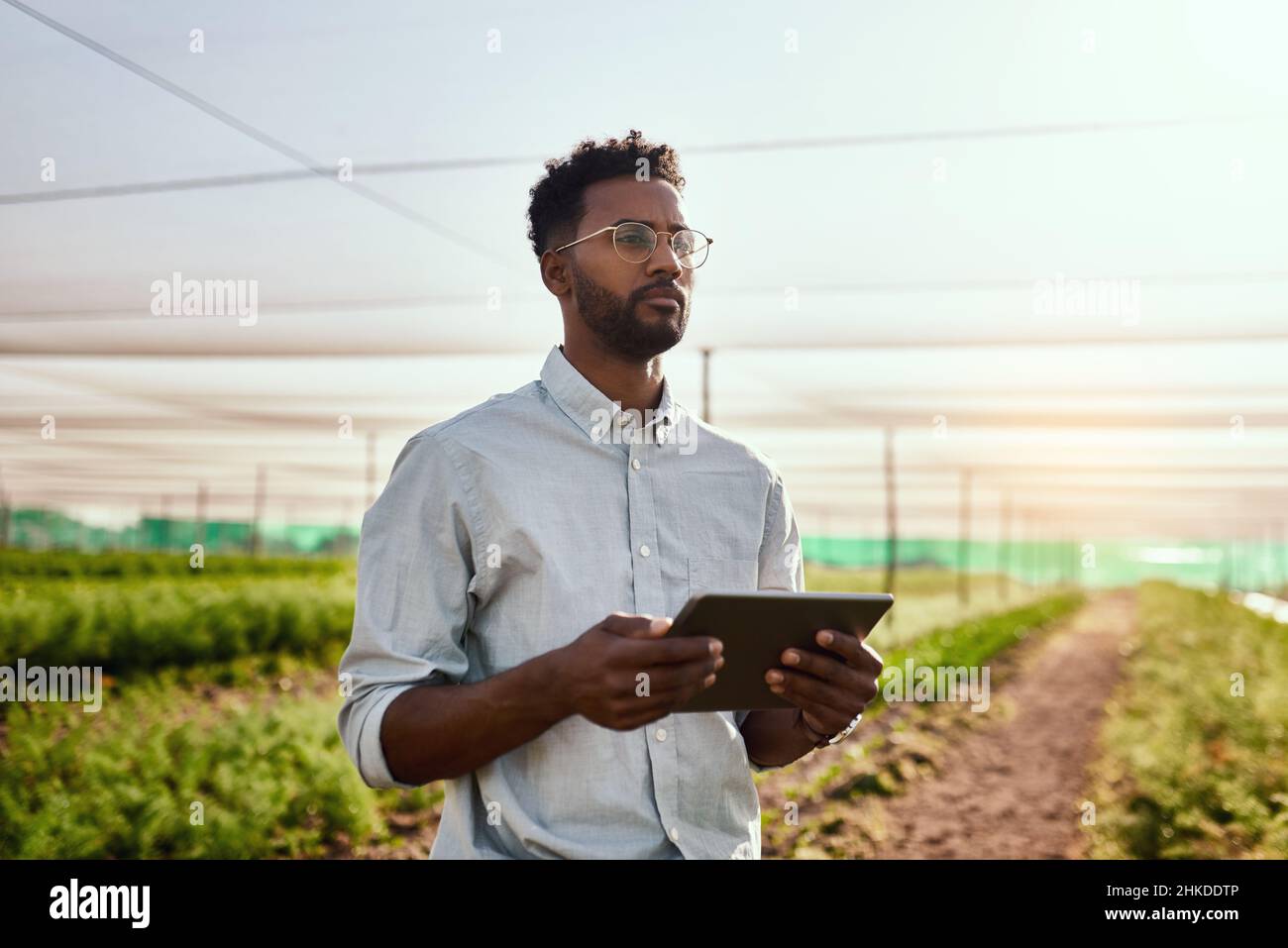 Running his farm the best way he knows how Stock Photo - Alamy