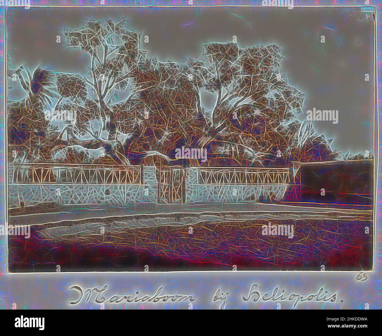 Inspired by Marian tree at Heliopolis, Egypt, Marian tree at Heliopolis ...