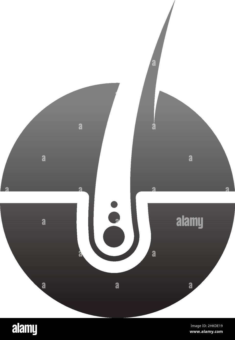 Hair follicle illustration logo icon desain template vector Stock ...