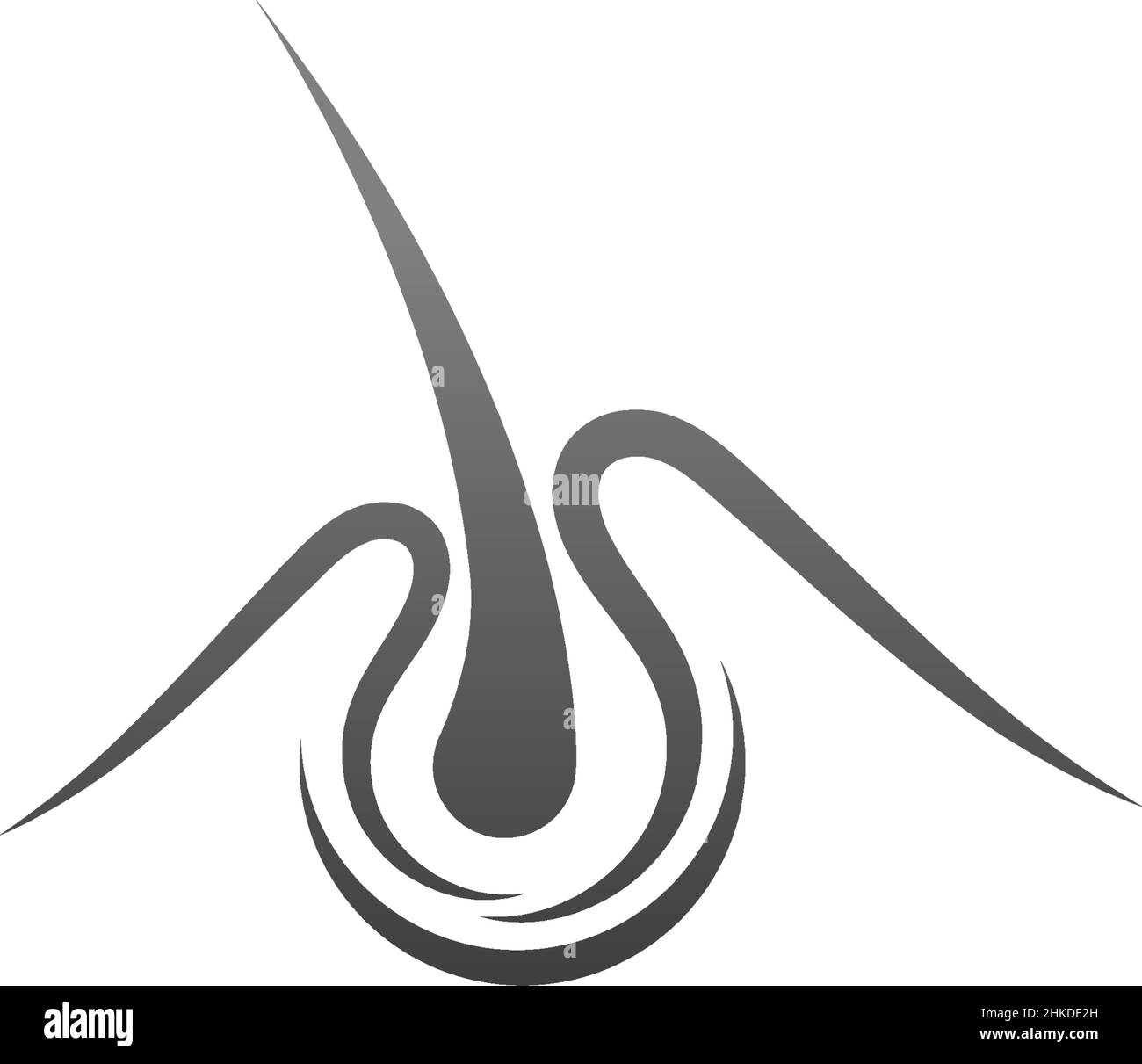 Hair follicle illustration logo icon desain template vector Stock ...