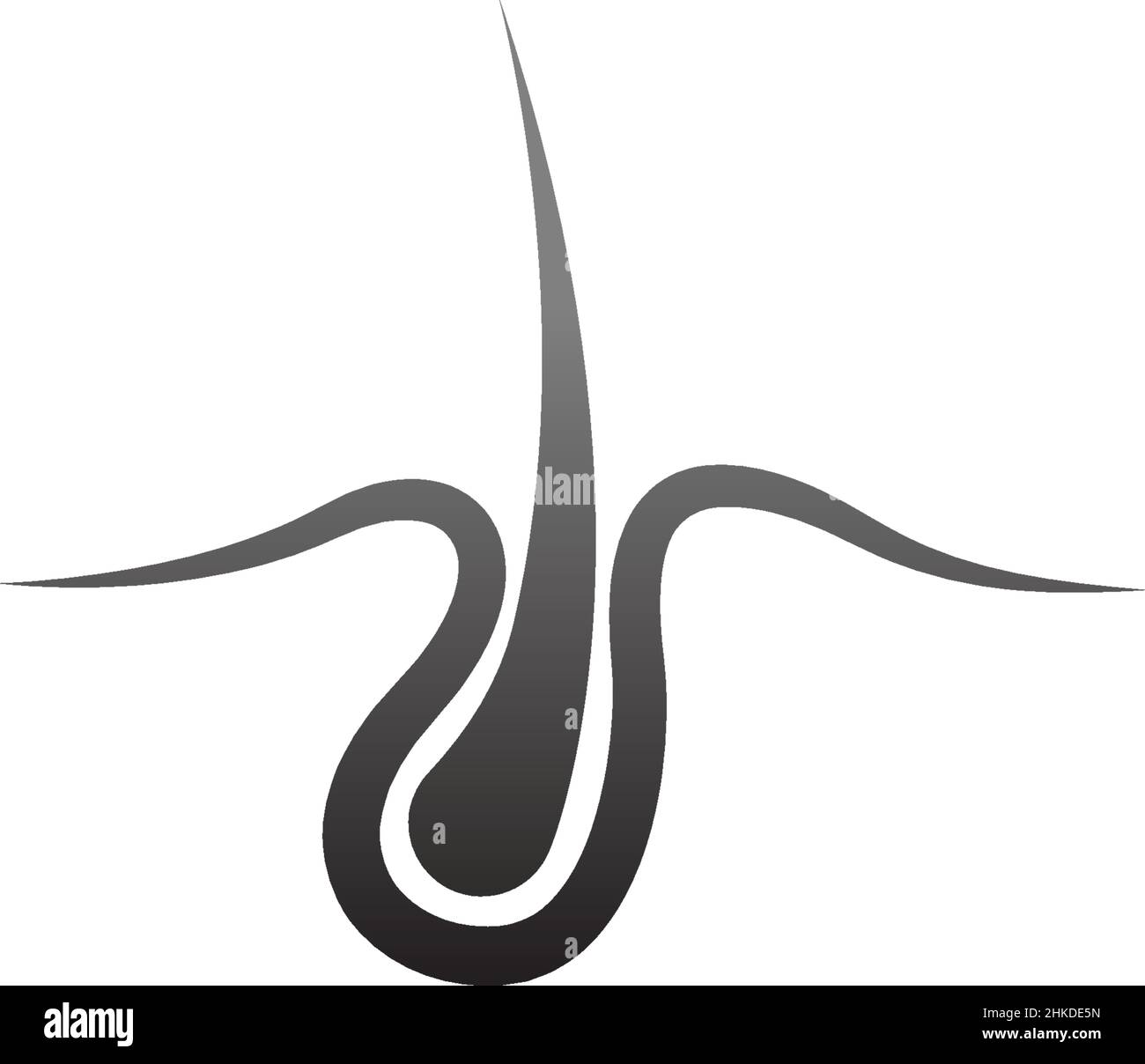 Hair follicle illustration logo icon desain template vector Stock ...