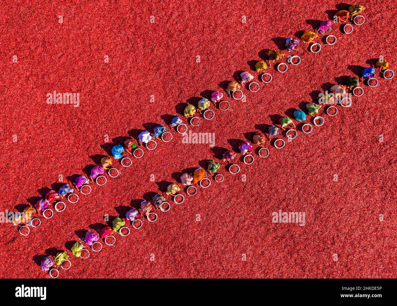 Red chilli pepper processing hi-res stock photography and images - Alamy