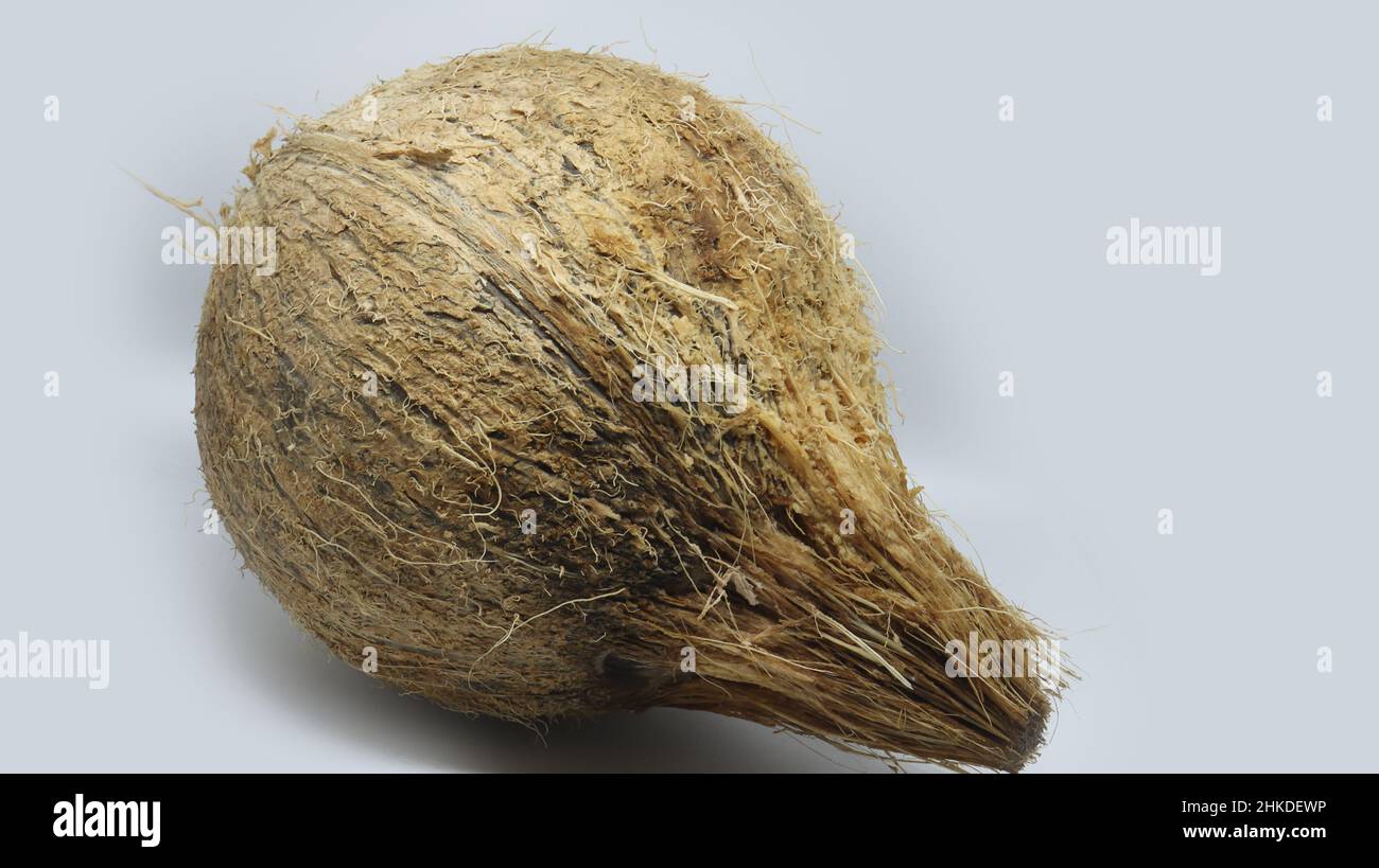 Closed coconut hi-res stock photography and images - Alamy