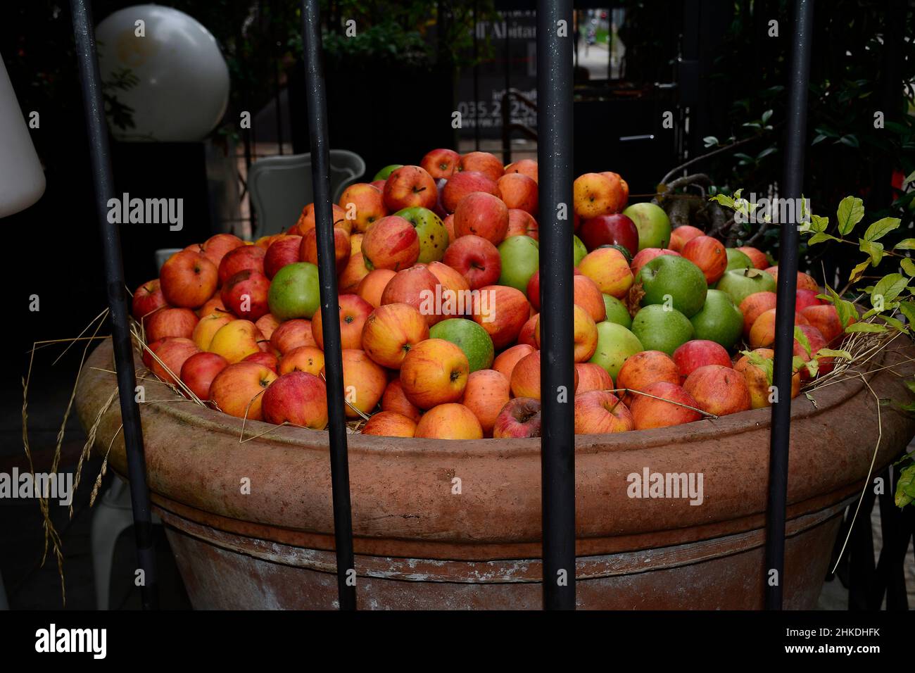 Big red apples in hi-res stock photography and images - Alamy