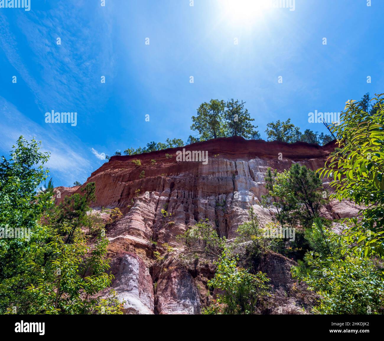 Sand cliff from over a hundred years of erosion within Providence ...