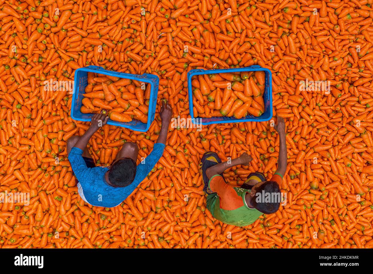 Farmer washing freshly picked hi-res stock photography and images - Alamy