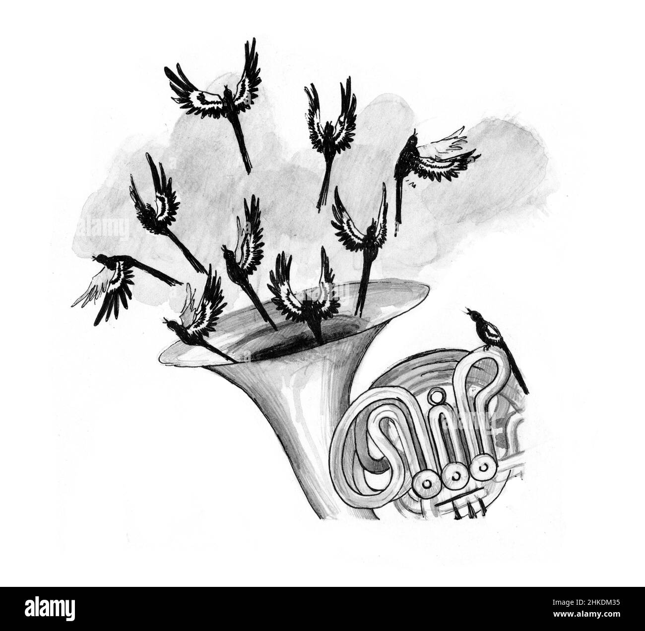 Music and sounds of nature. Birds fly out of a French horn (wind ...