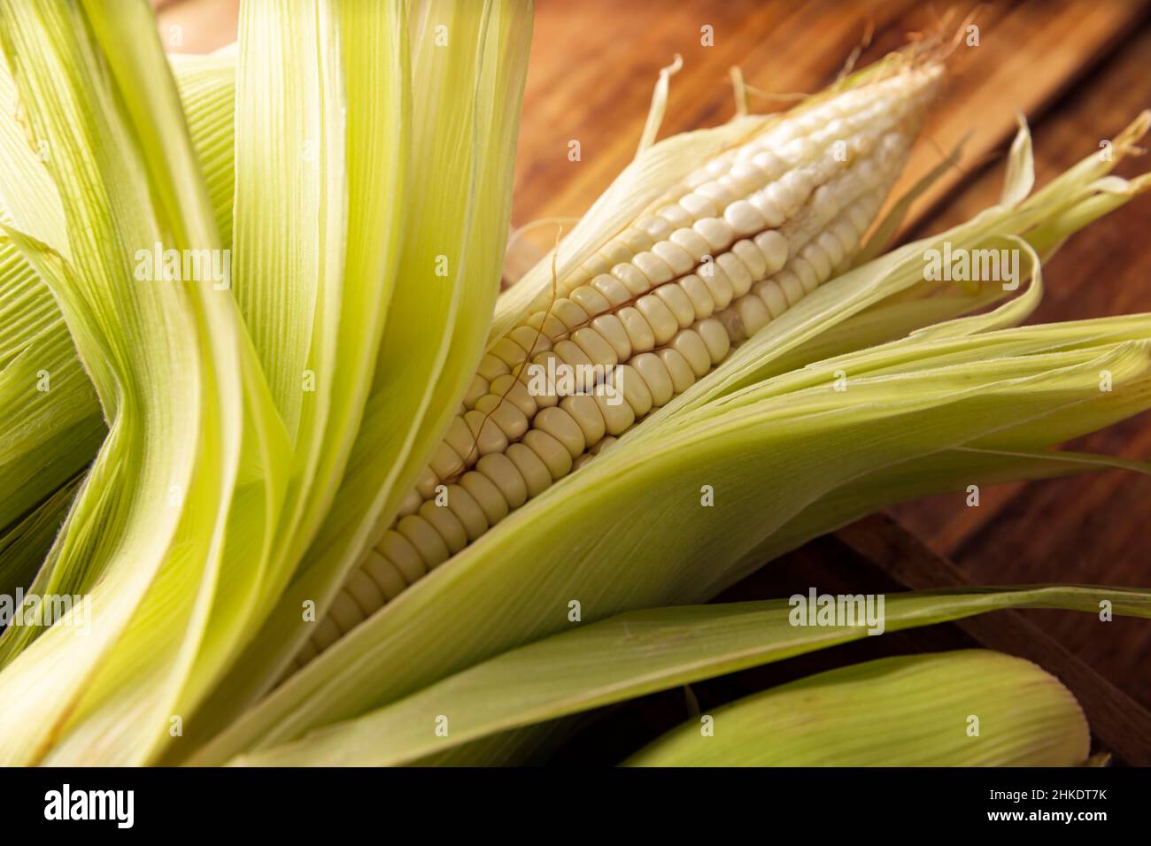 Close up image of raw white corn on the cob on wooden rustic surface ...