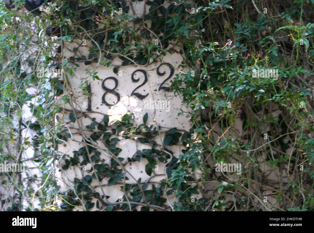 Los Angeles, California, USA 1st February 2022 Director Roy Del Ruth's ...