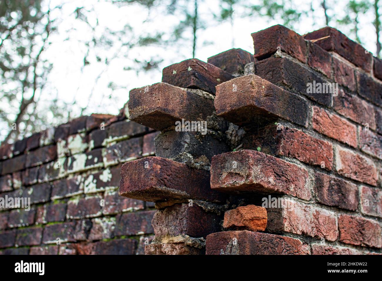 Old cahawba archaeological park hi-res stock photography and images - Alamy