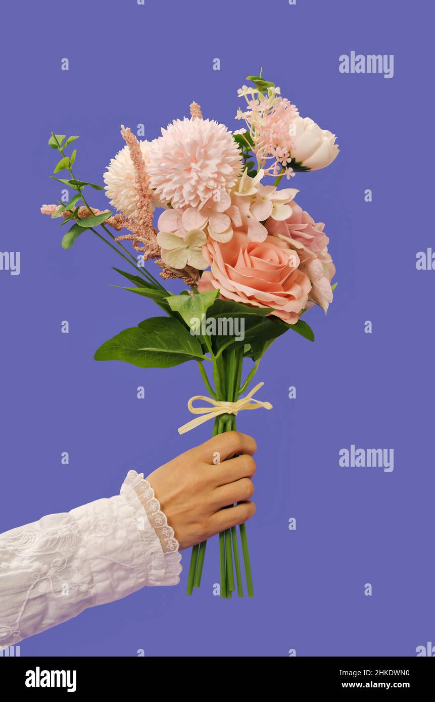 Very peri rose hi-res stock photography and images - Alamy