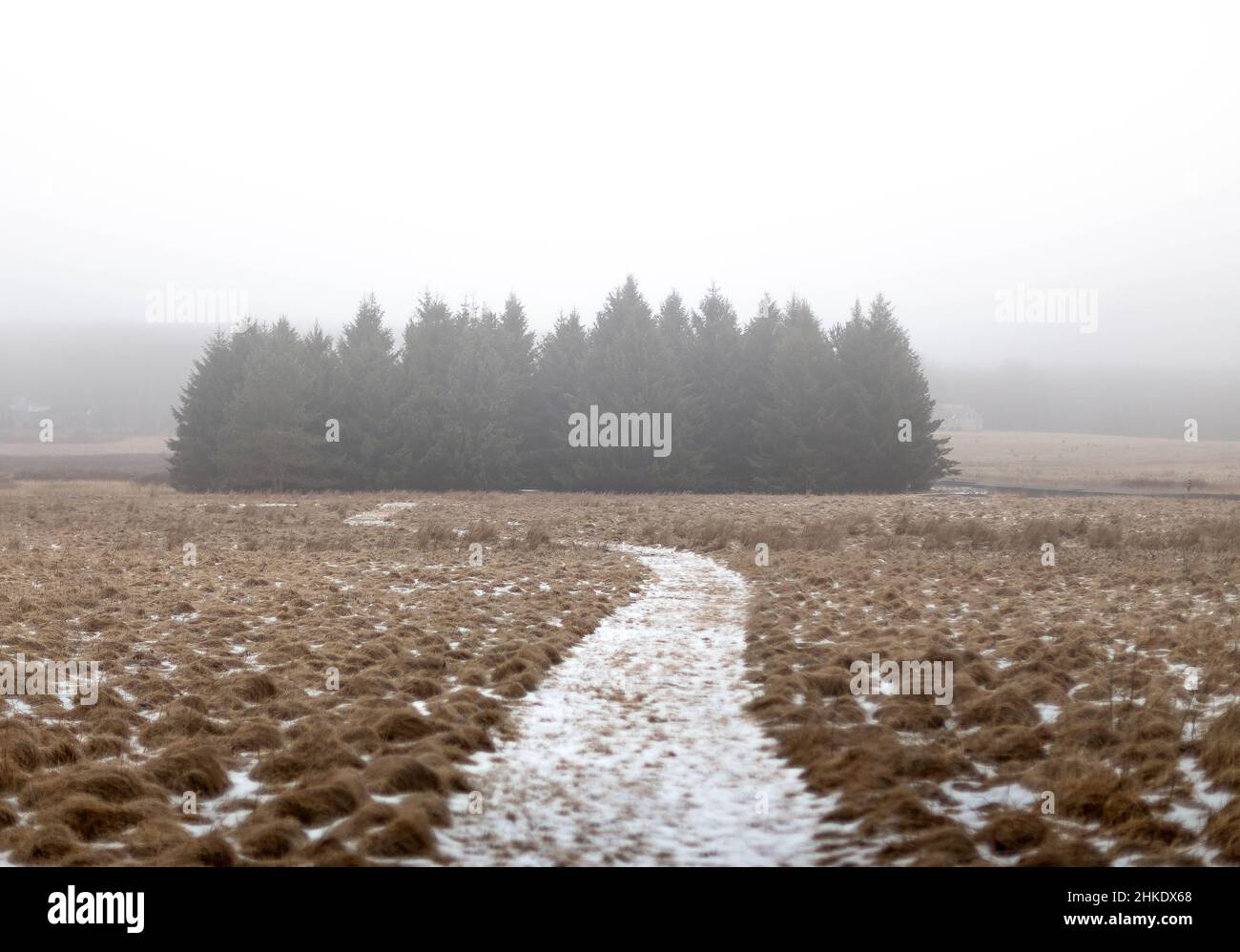 Icey trees hi-res stock photography and images - Alamy