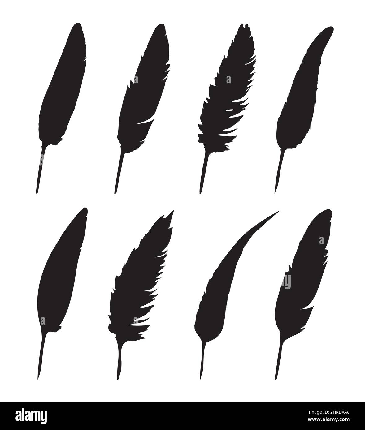 Vector group of feather on white background. Easy editable layered ...