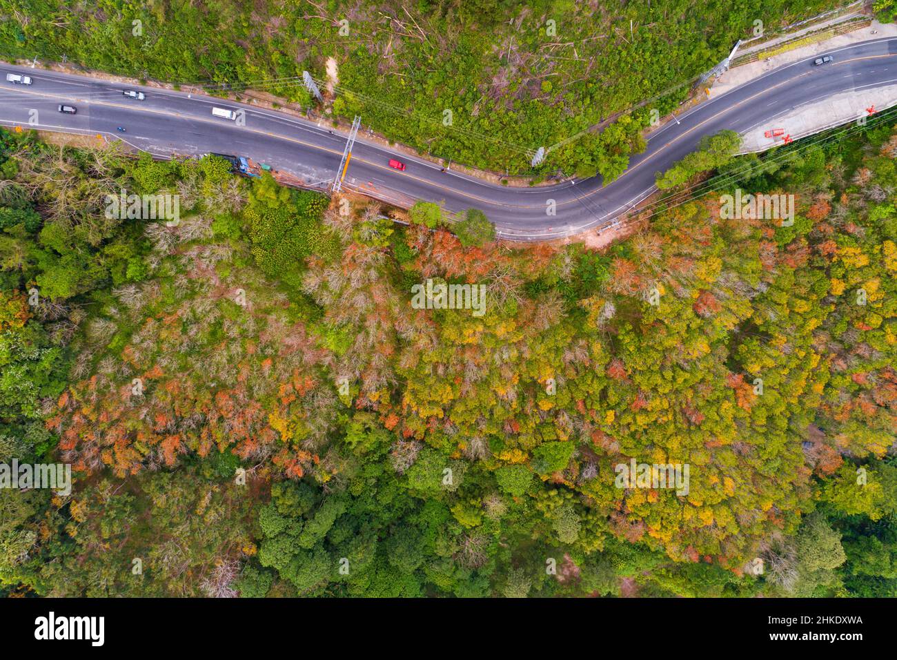 Aerial view of mountain road in forest in autumn season Top view from ...