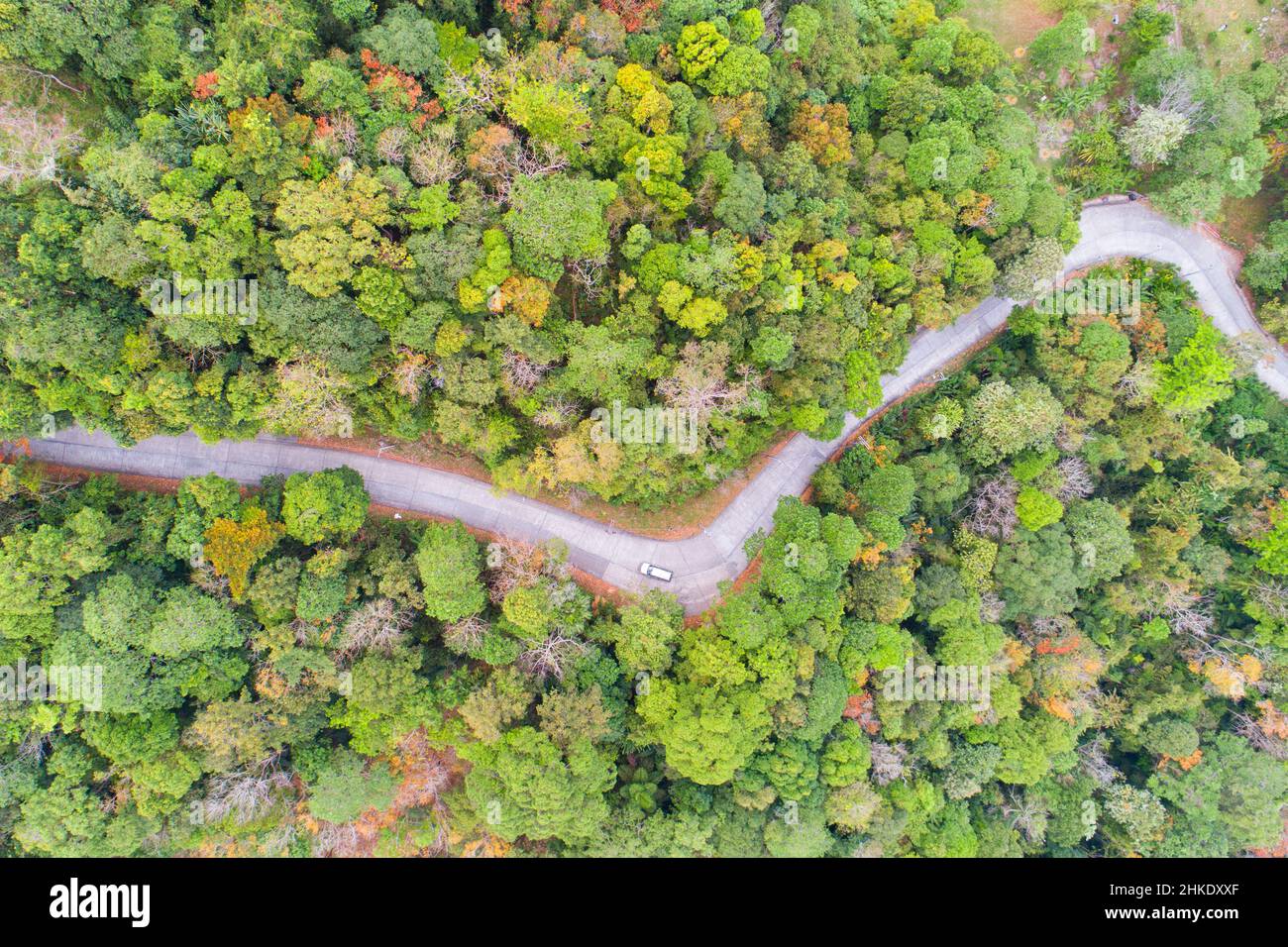 Aerial view of mountain road in forest in autumn season Top view from ...