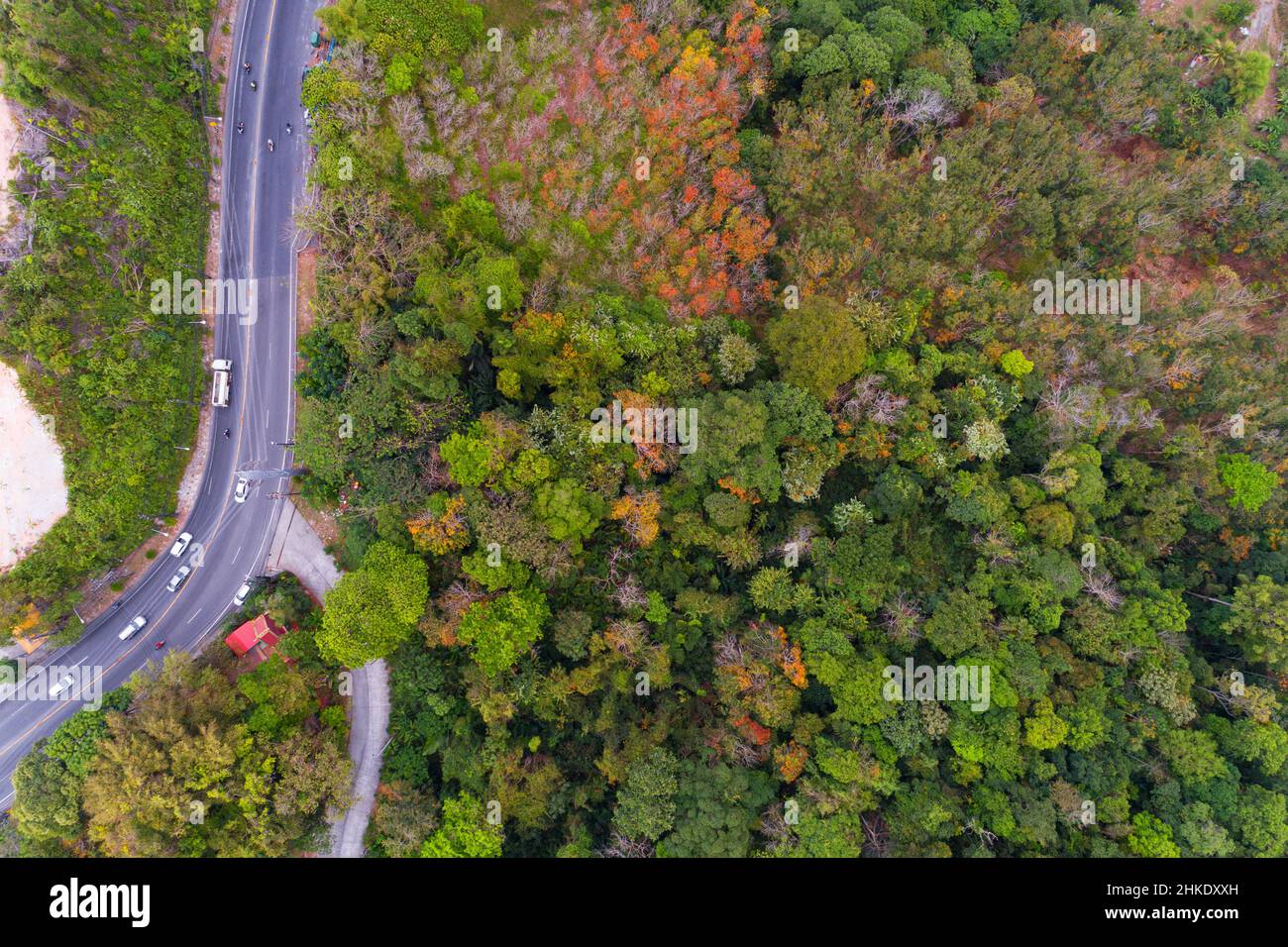 Aerial view of mountain road in forest in autumn season Top view from ...