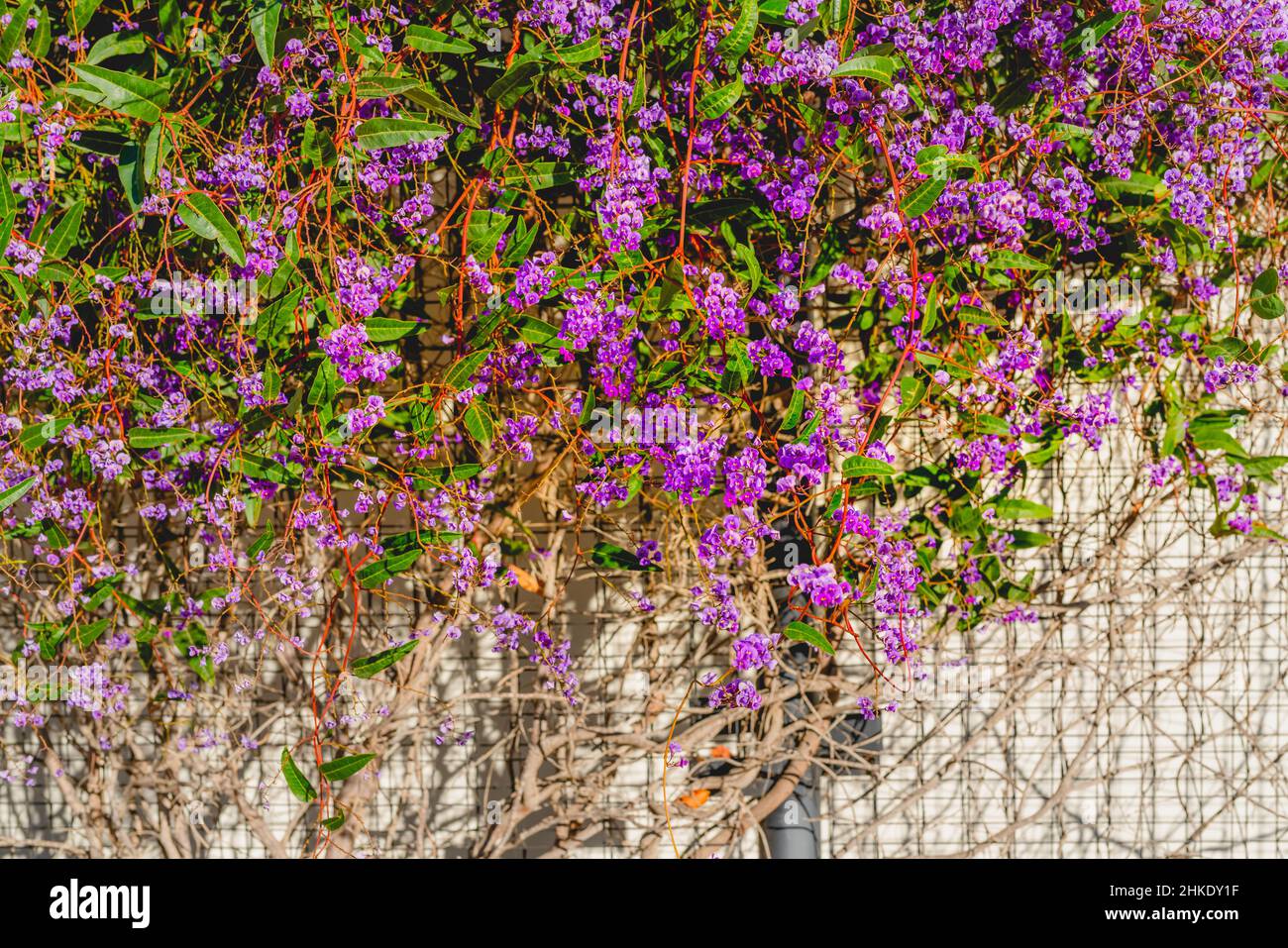 Happy wanderer hi-res stock photography and images - Alamy