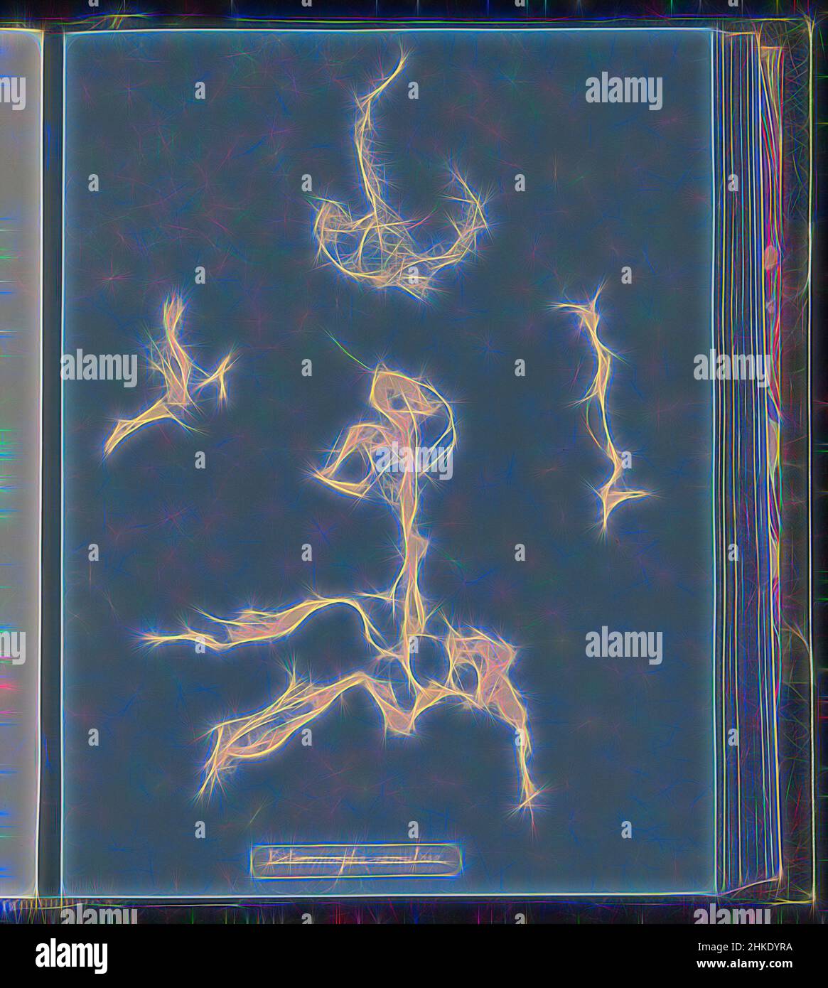 Inspired by Enteromorpha ramulosa, Anna Atkins, United Kingdom, c. 1843 ...