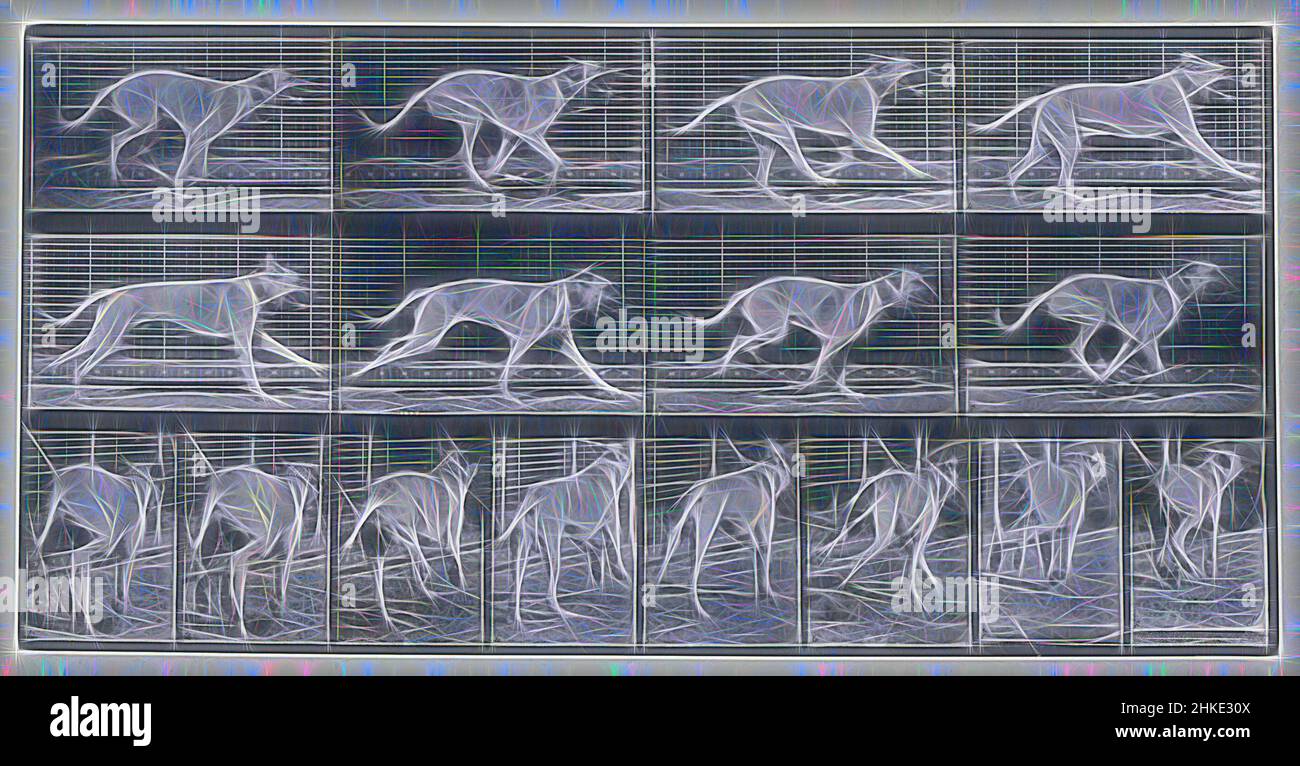 1887 muybridge hi-res stock photography and images - Alamy