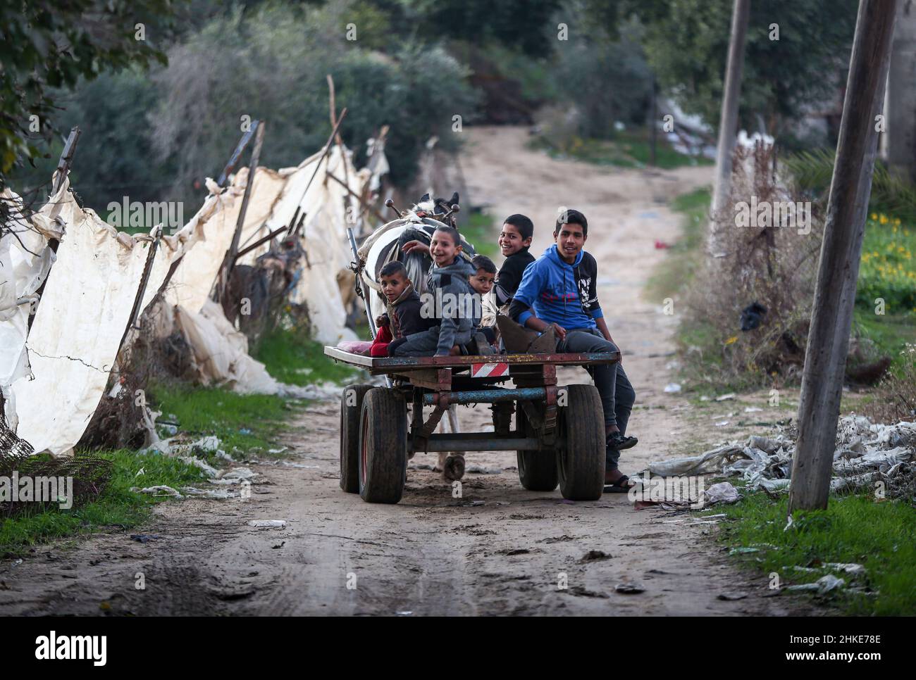Donkey cart palestine hi-res stock photography and images - Alamy