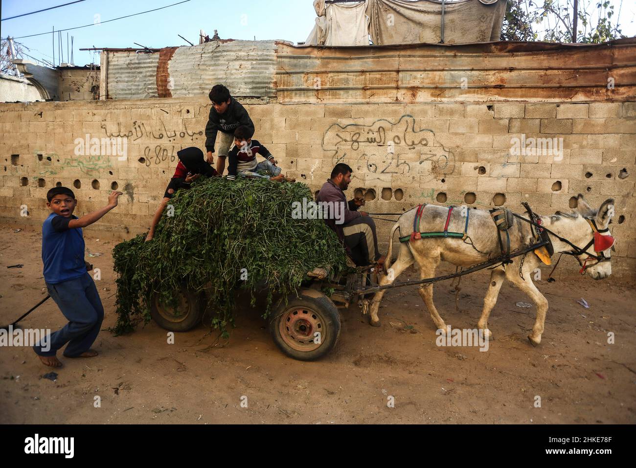 Donkey cart palestine hi-res stock photography and images - Alamy
