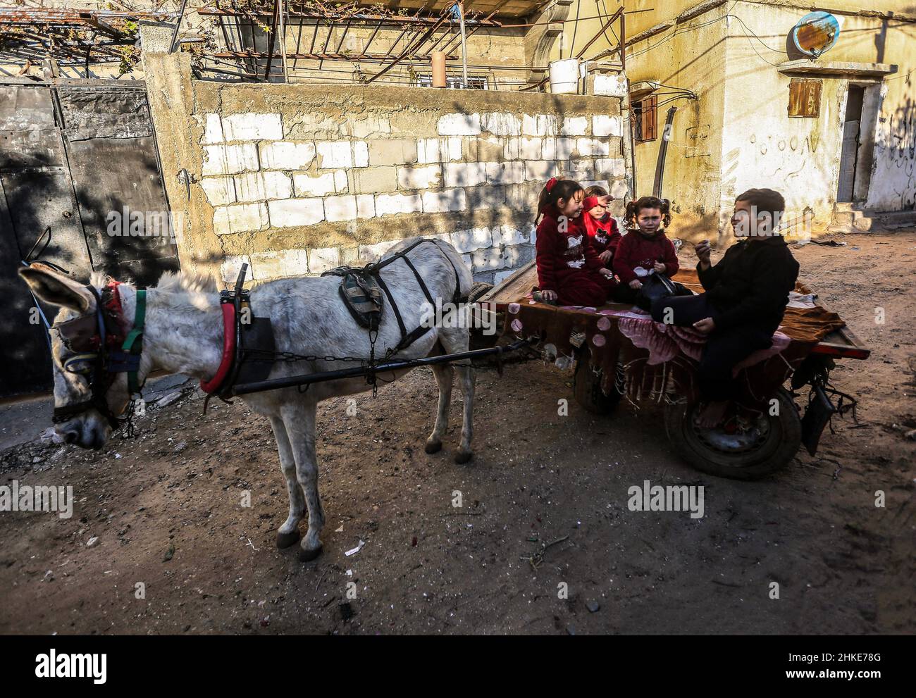 Donkey cart palestine hi-res stock photography and images - Alamy