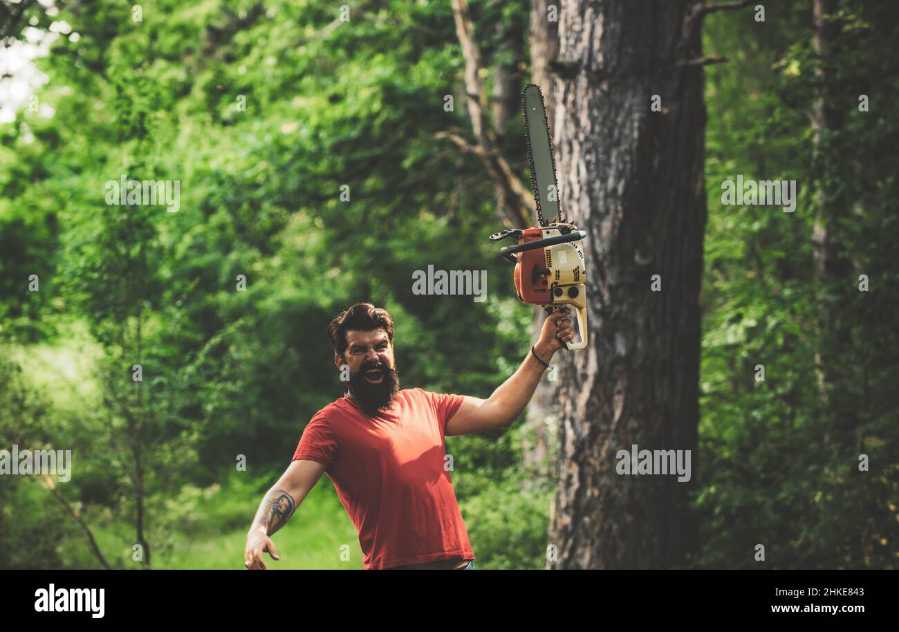 The Lumberjack working in a forest. Lumberjack worker with chainsaw in ...