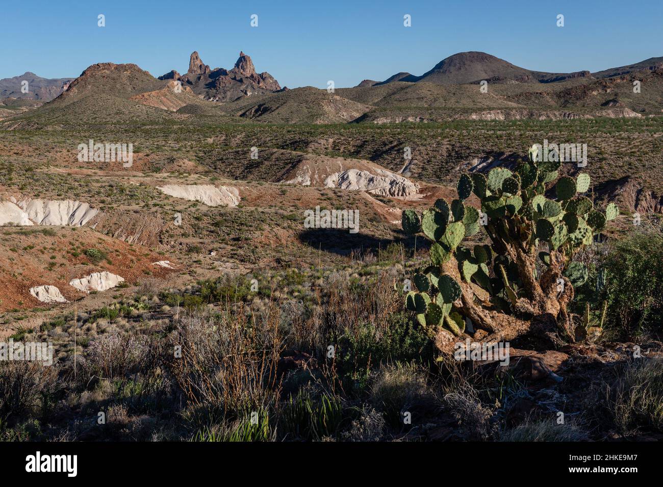 Mule Ears Trail leads through the Chihuahuan Desert to a small spring ...