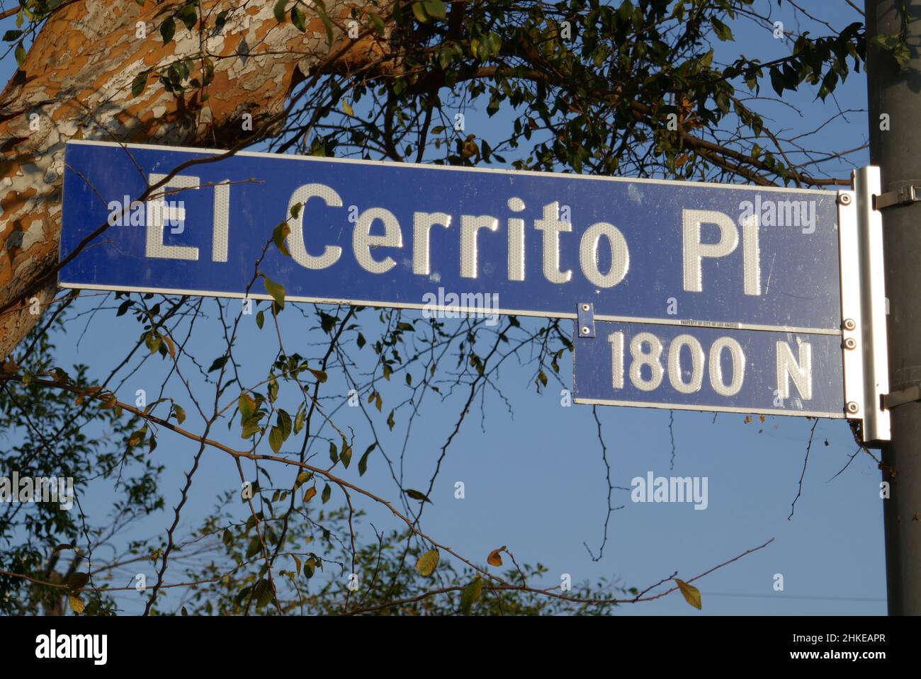 Los Angeles, California, USA 1st February 2022 Actress Rose Tapley and ...