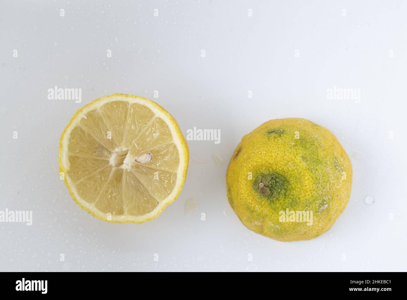 Top view of sliced lemon isolated on white background Stock Photo - Alamy