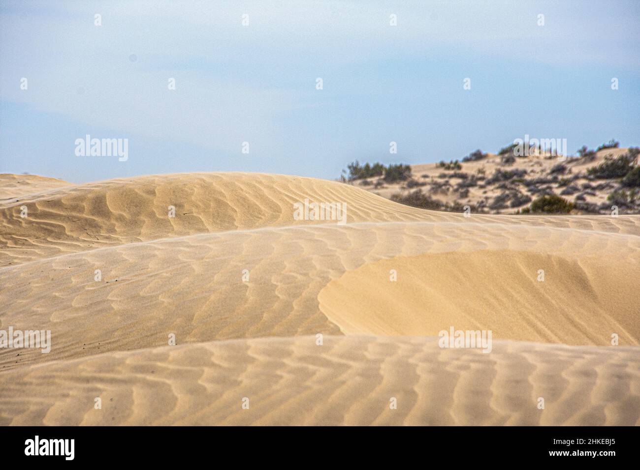 Three sand dunes off of Highway 3, Sonora, Mexico Stock Photo - Alamy