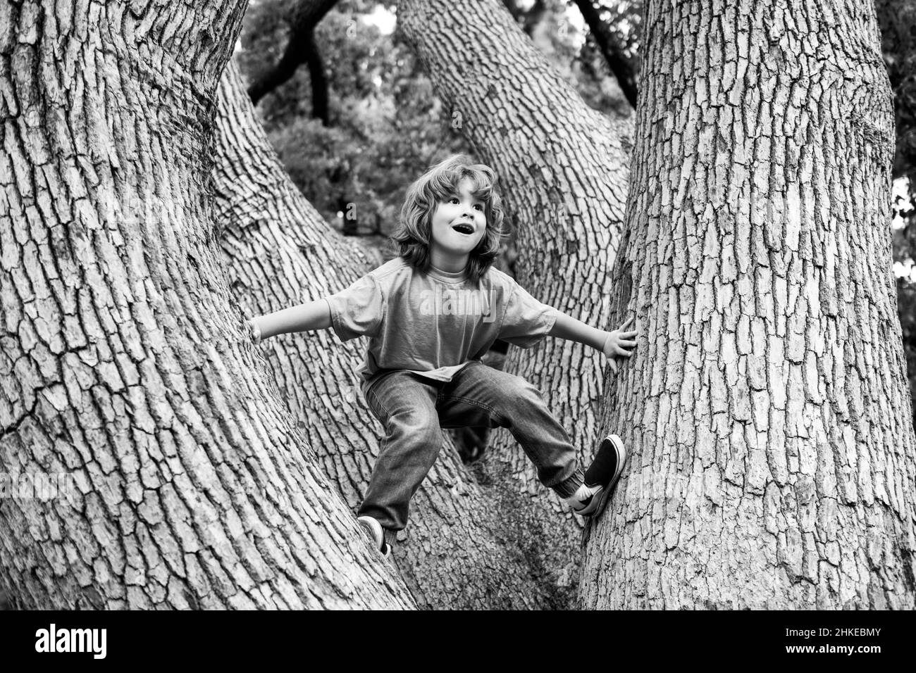 Little cute boy, climbing the tree in nature. Kids playing outdoor ...
