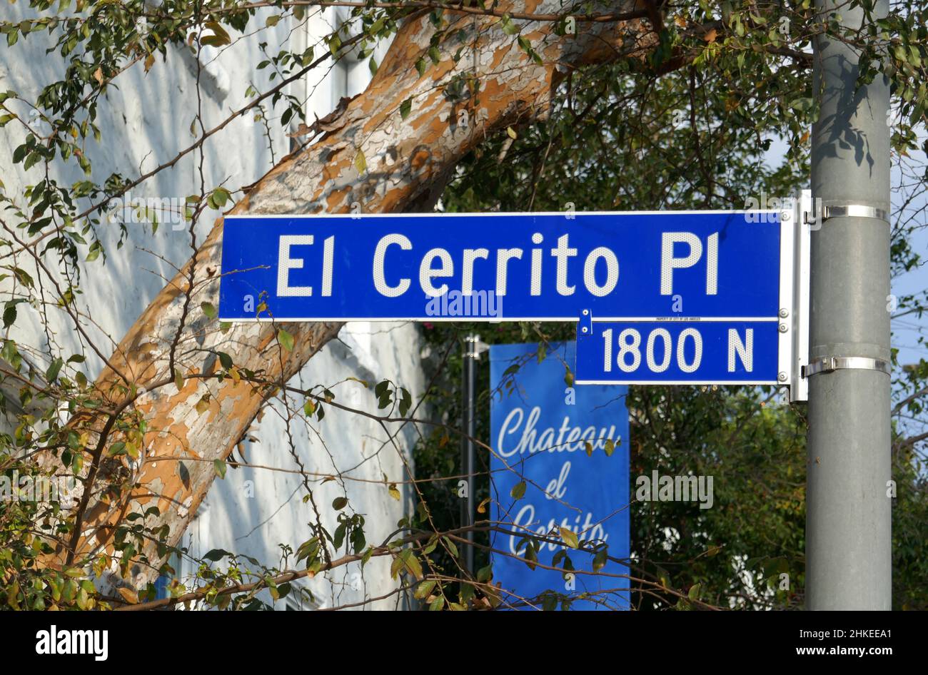 Los Angeles, California, USA 1st February 2022 Actress Rose Tapley and ...