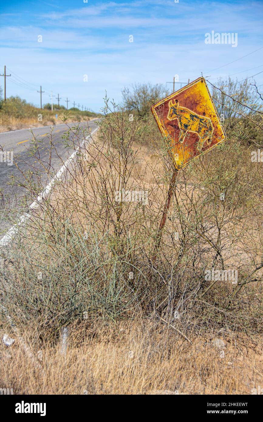 Highway 3 sonora mexico hi-res stock photography and images - Alamy
