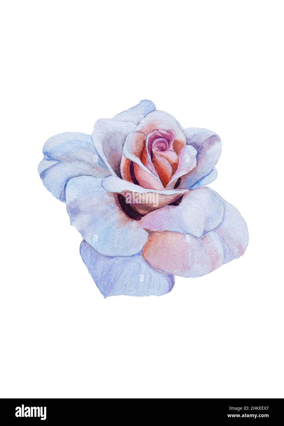 Blue Roses Background Tumblr