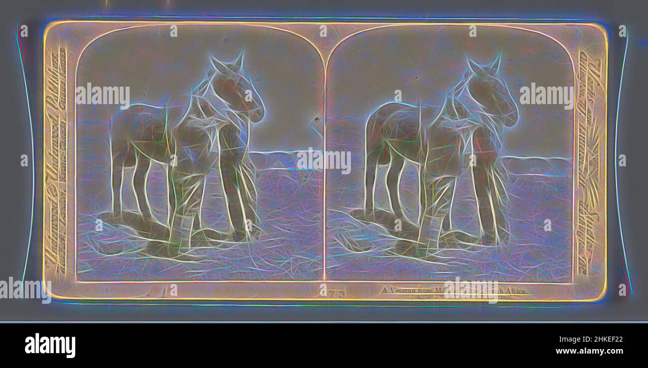 Inspired by Two men groom a horse after a battle at Modder River, South ...