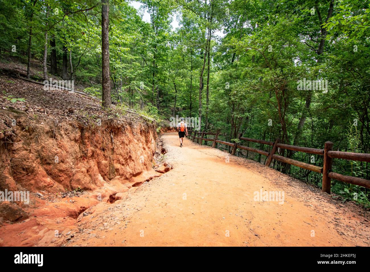 Lumpkin, Georgia, USA- June 6, 2021: A male hiker descends into the ...