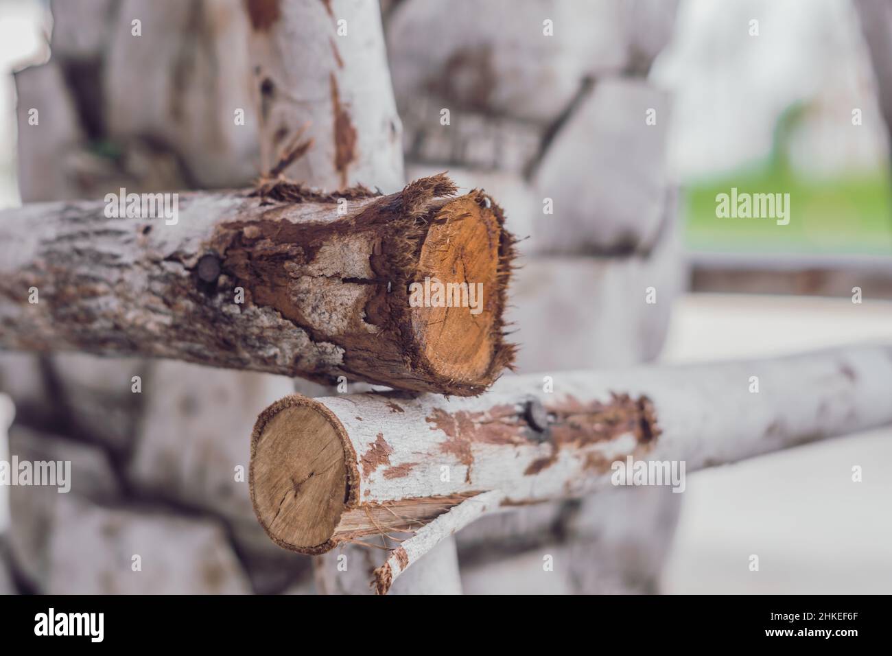 Wood fence corner. Block of Rows, thin tree trunk with scratches serifs ...
