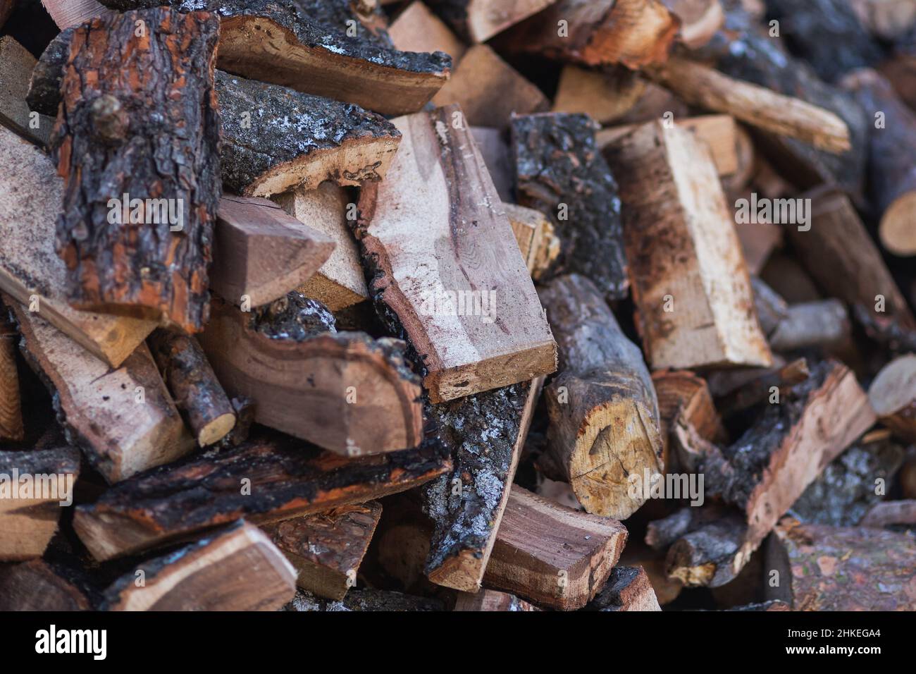 close-up sawn tree into small pieces. Background from sawn pieces of ...