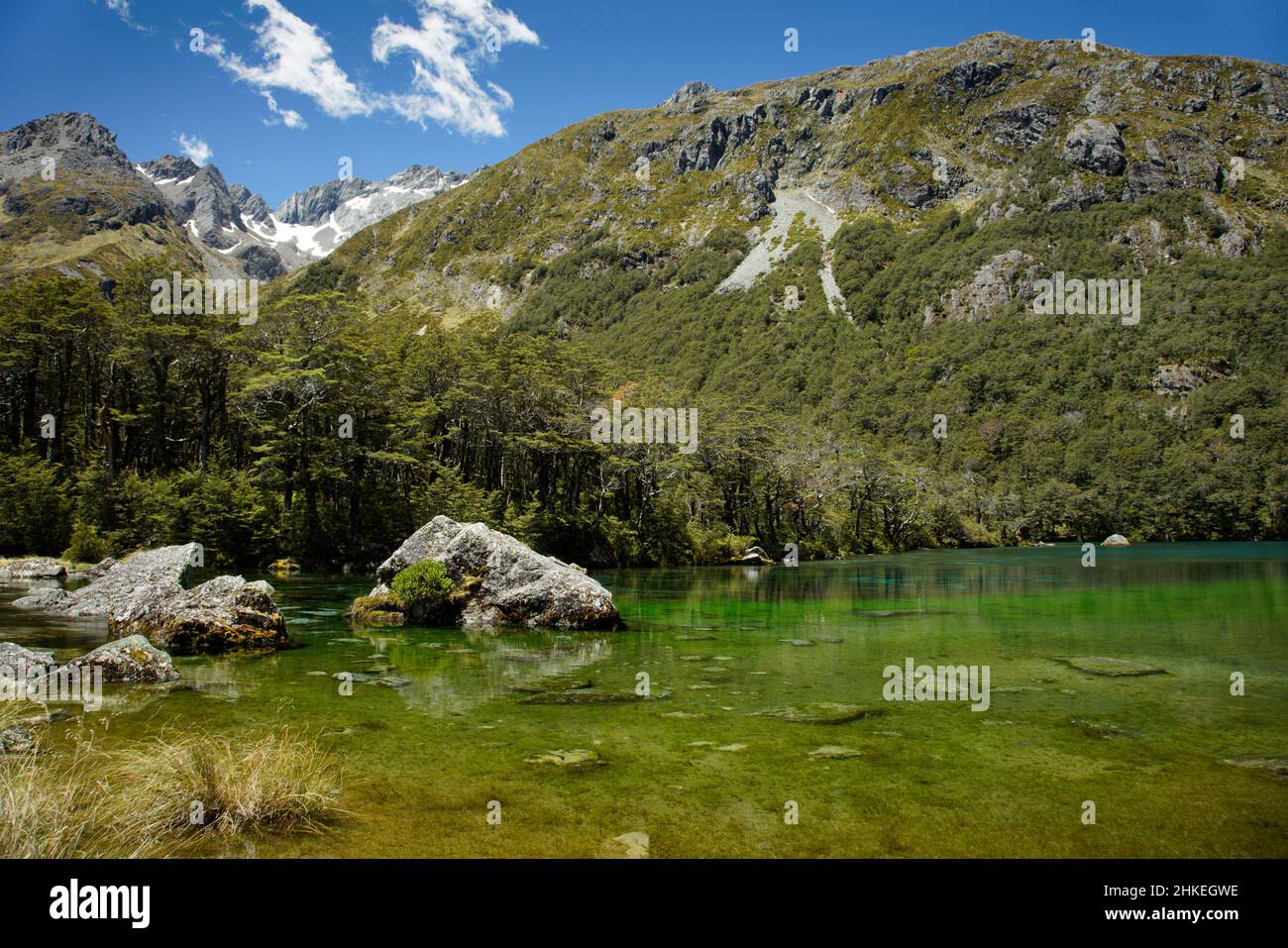 Blue lake, Nelson Lakes National Park, south island, Aotearoa / New ...
