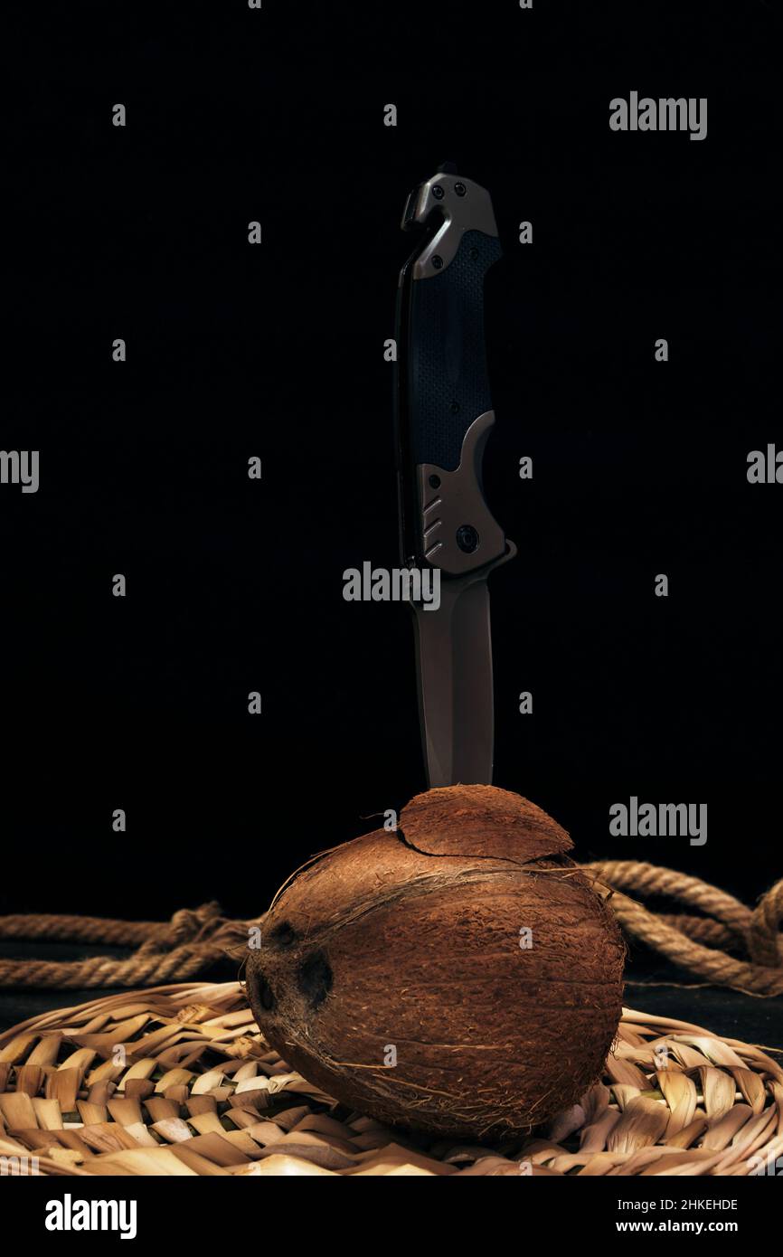Tactical folding knife is stuck in split coconut lying next to pano ...